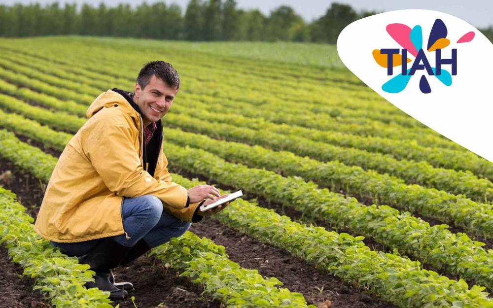 How our Capability Framework can help you - TIAH